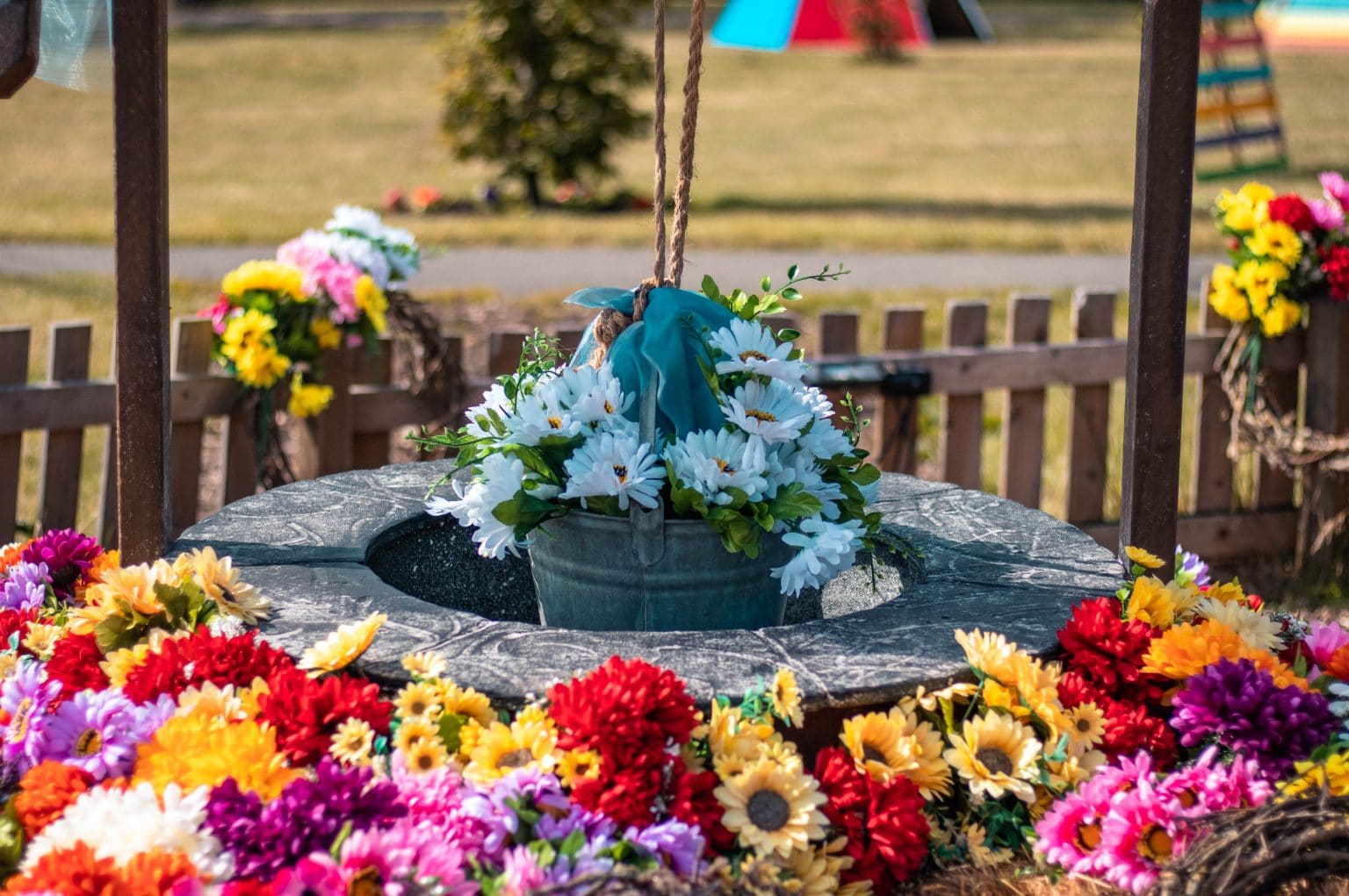 IMG_2567 - Marsh Farm