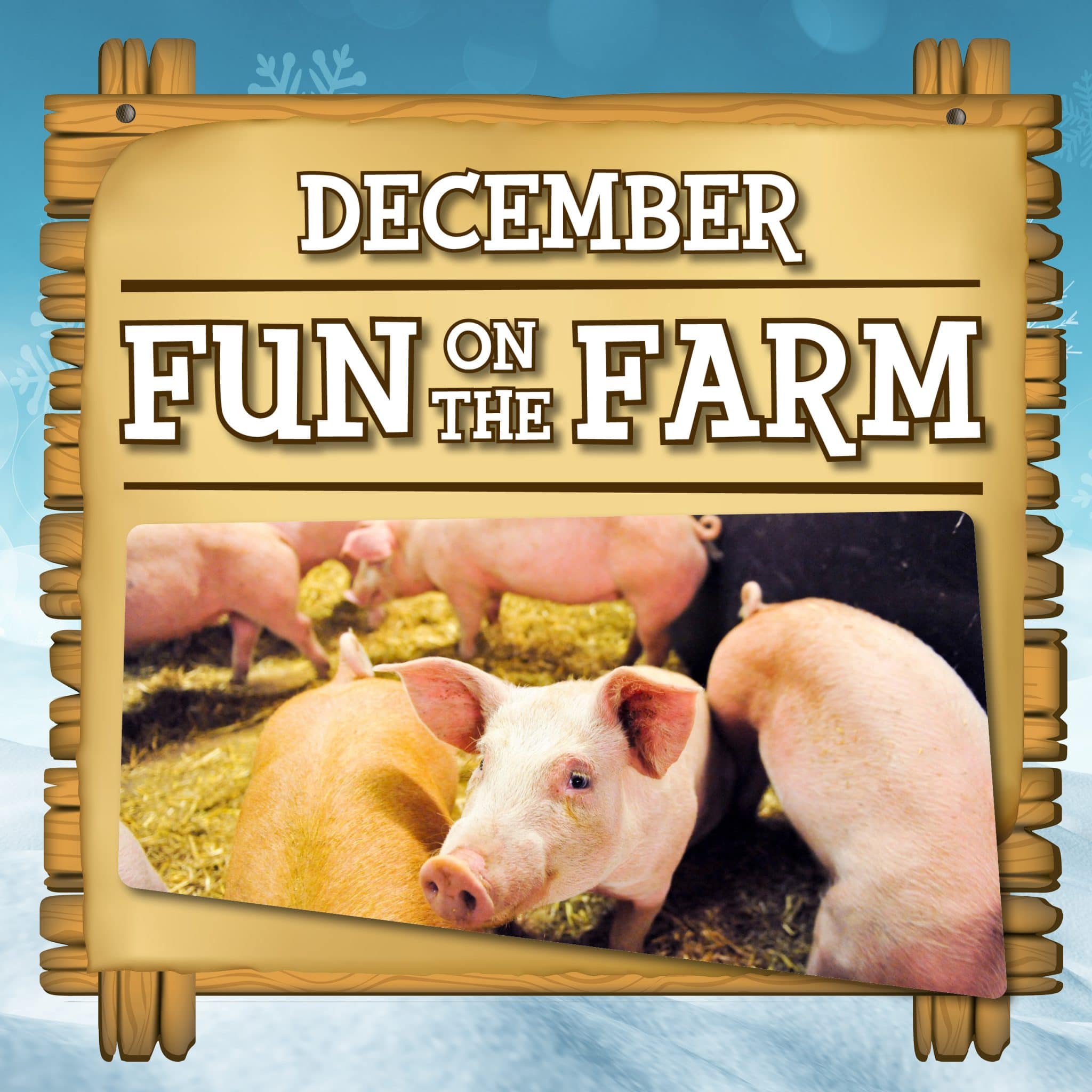 - Marsh Farm