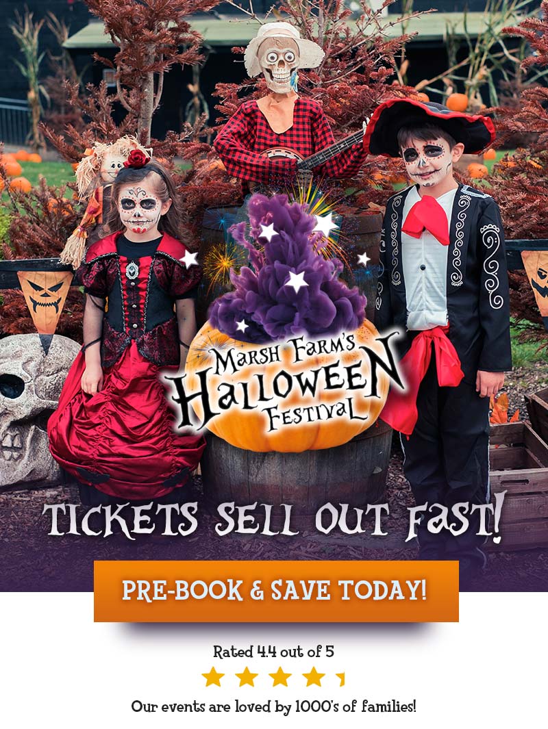 Halloween - Marsh Farm