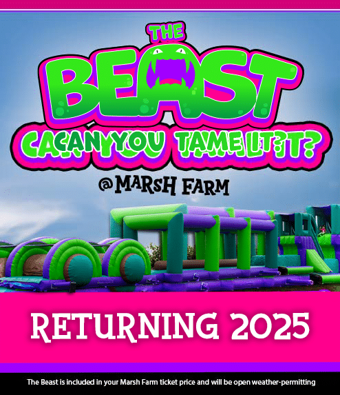 Fantastic Children's Events & Tickets - Marsh Farm Adventure Park