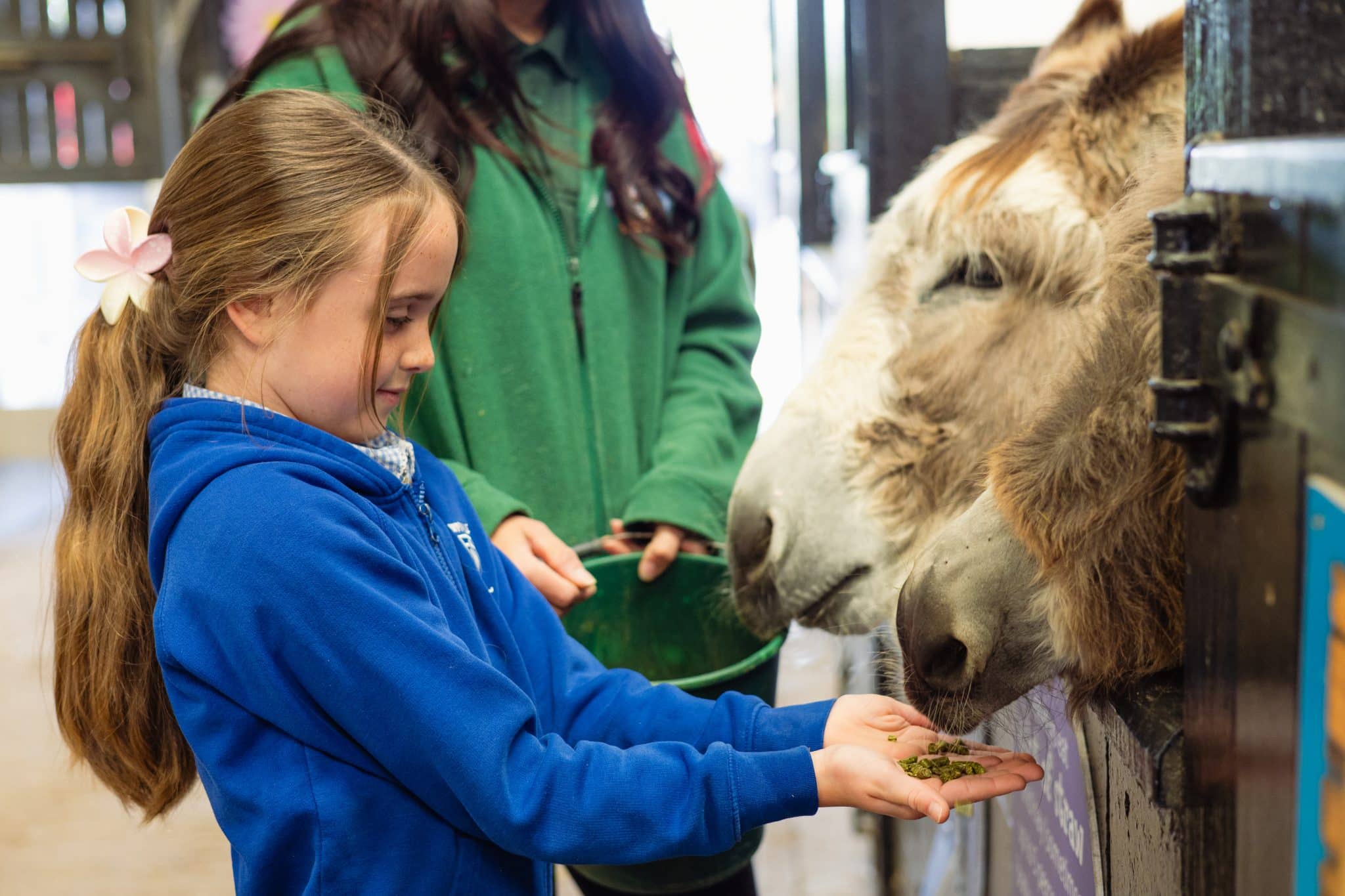 Badge and Uniform Group Trips - Marsh Farm